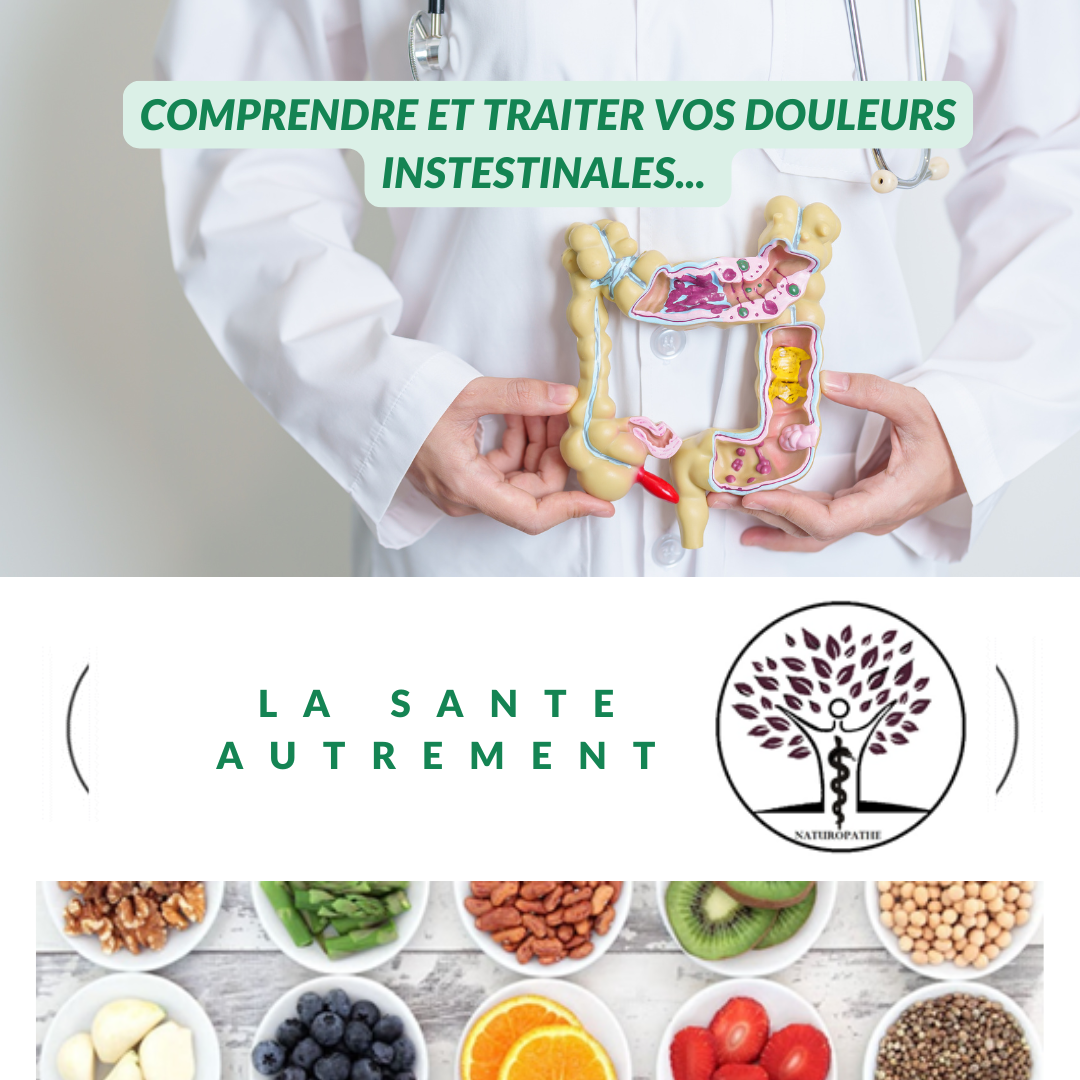 COMPRENDRE ET TRAITER VOS DOULEURS INTESTINALES